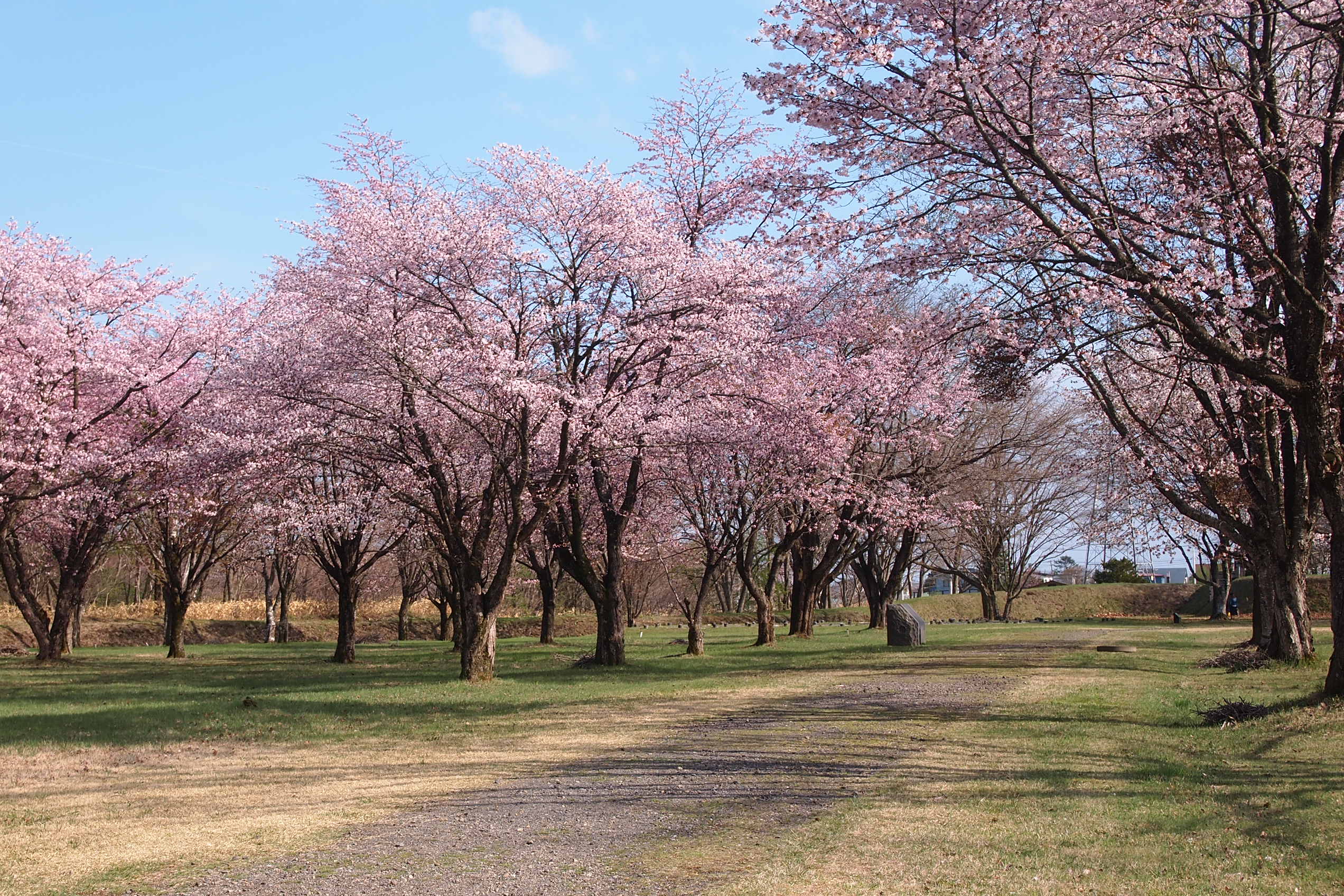 Sendai Clan Shiraoi Manor House Museum – Hokkaido Digital Museum